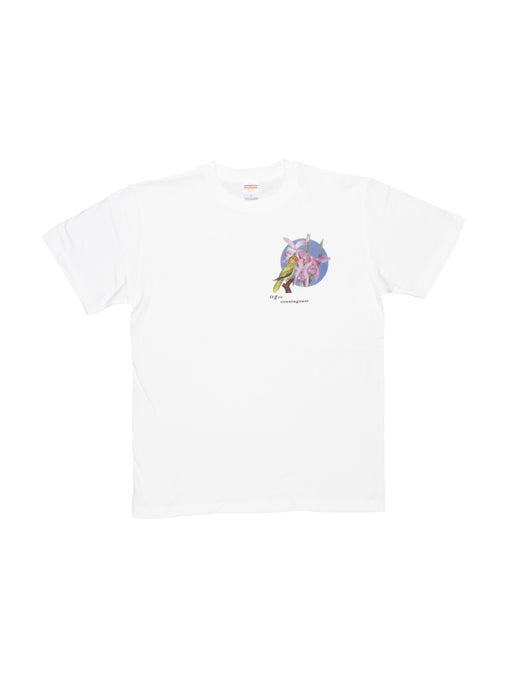 IMPRINT – imprint-works